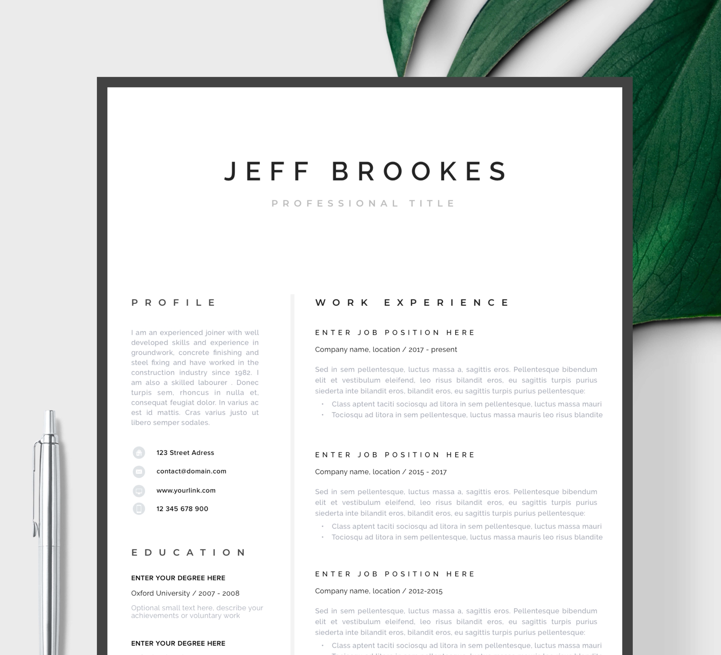 Professional And Modern CV Template Brooklyn Resume Angels